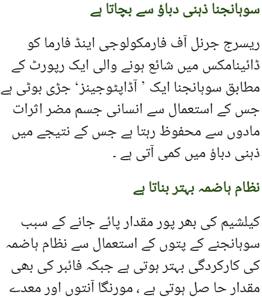 Moringa Sohanjna Tree Benefits: A Nutritional and Medicinal Miracle – Daily