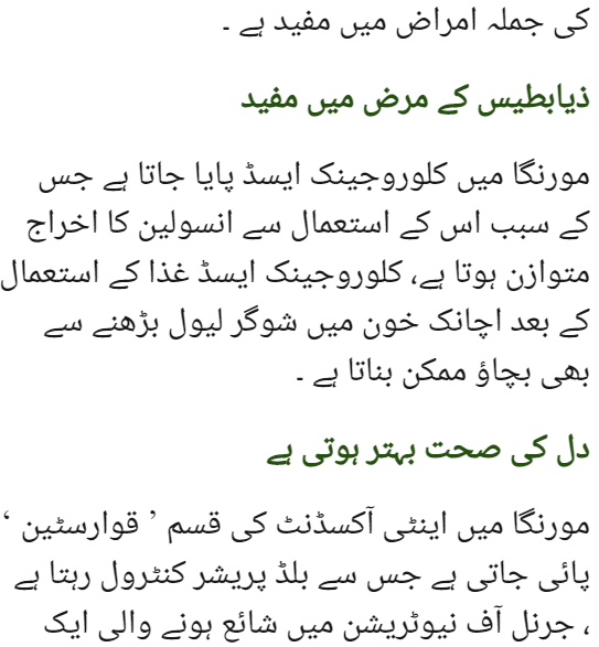 Moringa Sohanjna Tree Benefits: A Nutritional and Medicinal Miracle – Daily