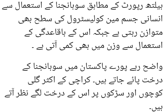 Moringa Sohanjna Tree Benefits: A Nutritional and Medicinal Miracle – Daily