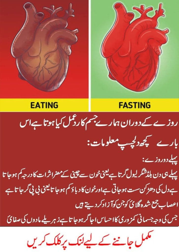 Some interesting facts about how your body reacts during fasting – Daily